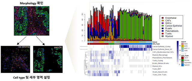 GeoMx Spatial Transcriptome 서비스 런칭 할인행사 | 할인행사 > Bio마켓 | BRIC